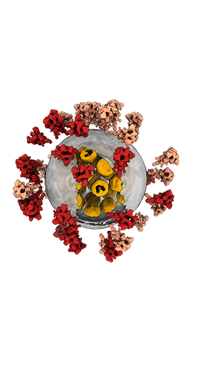 Quantifoil | SPT Labtech